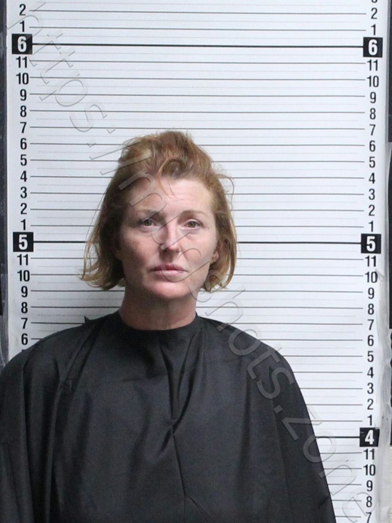 RESPESS ANNA ELIZABETH 05/28/2026 - Brunswick County Mugshots Zone