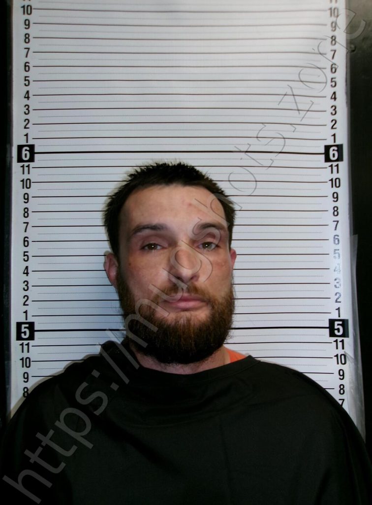 MANGUM CLYDE FRANKLIN 05/28/2026 - Brunswick County Mugshots Zone