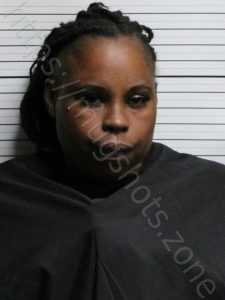 ANDREWS SHANTA LYNETT 06/03/2026 - Brunswick County Mugshots Zone