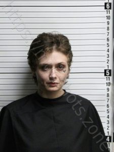 BARNES MEGHAN RENEE 06/03/2026 - Brunswick County Mugshots Zone