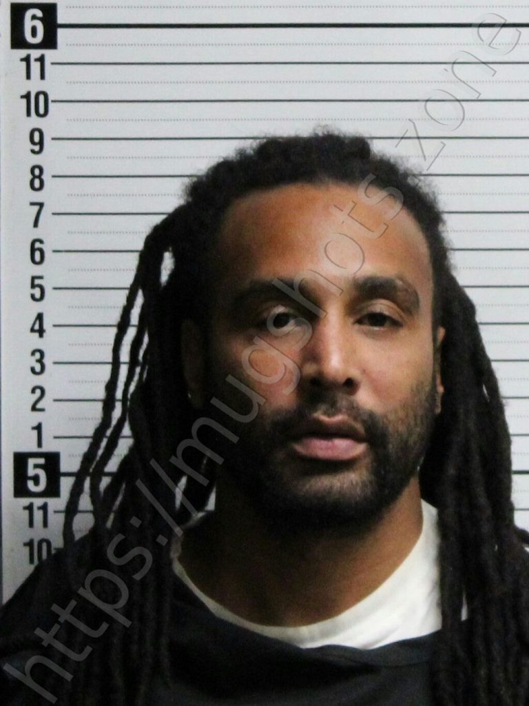 TISDALE STEVEN DEVON 06/03/2026 - Brunswick County Mugshots Zone