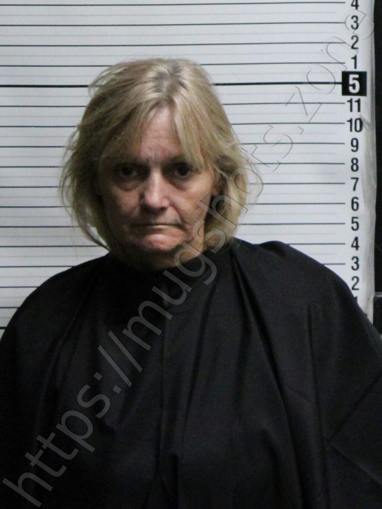 GRAY TINA HOWARD 06/03/2026 - Brunswick County Mugshots Zone