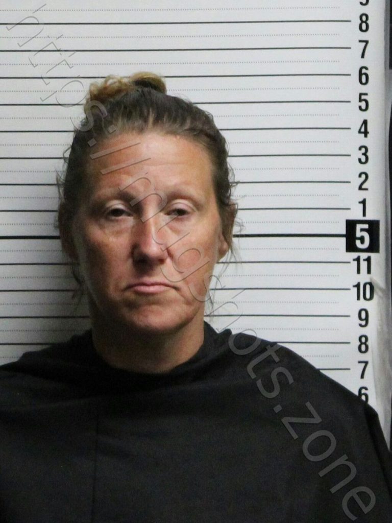 TURBEVILLE CICILY NOVA 06/03/2026 - Brunswick County Mugshots Zone