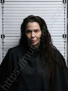 SELLERS SARA LYNN 06/03/2026 - Brunswick County Mugshots Zone