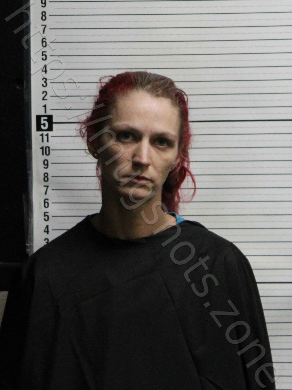 PEARSON JULIA ROSE 06/11/2026 - Brunswick County Mugshots Zone