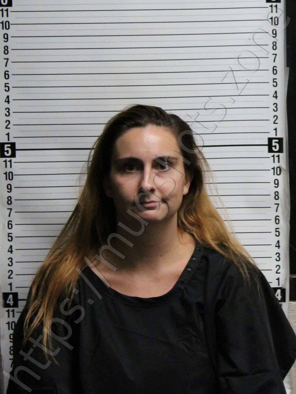 MILLS KARLEIGH JORDAN 06/11/2026 - Brunswick County Mugshots Zone