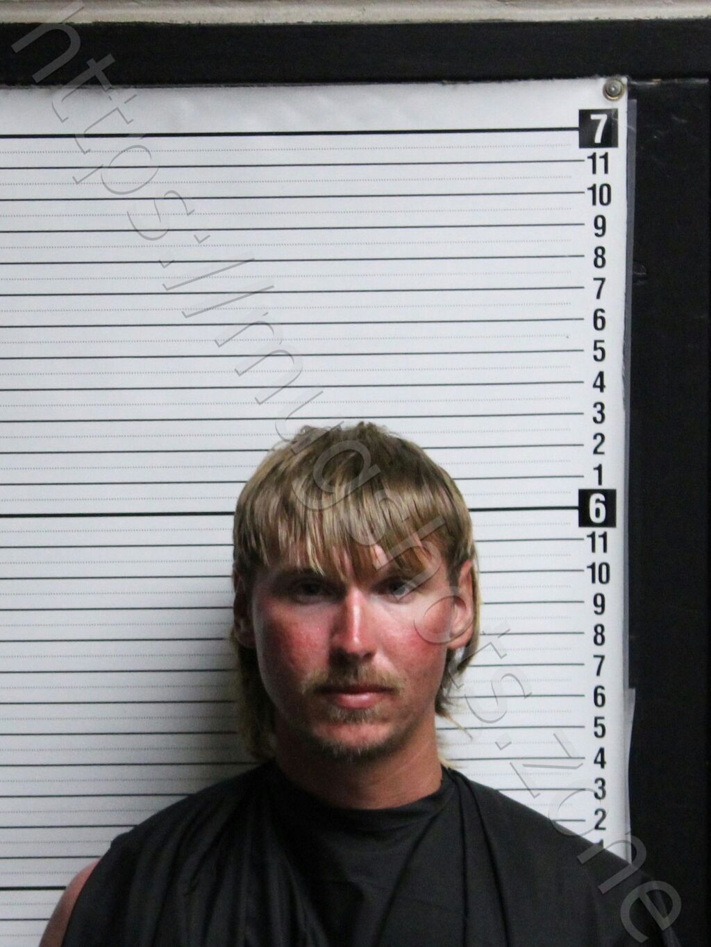 HENLEY ROBERT COLE 06/12/2026 - Brunswick County Mugshots Zone