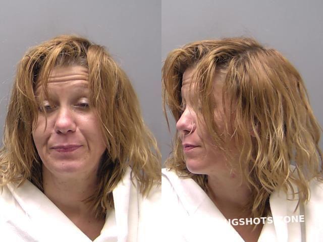 RILEY BRANDY NICOLE 04/20/2025 - Buchanan County Mugshots Zone