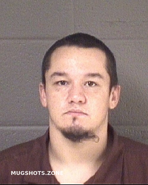 OGLE MICHAEL 01/10/2022 - Buncombe County Mugshots Zone