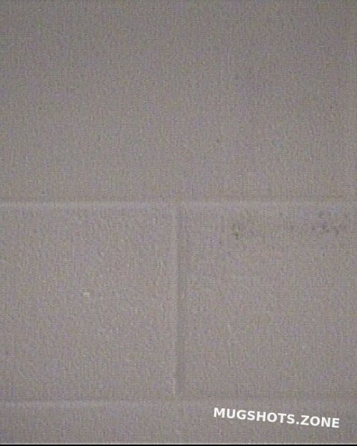 CRONK EMILY 02/12/2022 - Buncombe County Mugshots Zone