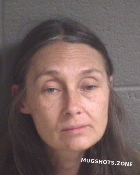 TESNER KIMBERLY RANA 04/28/2022 - Buncombe County Mugshots Zone