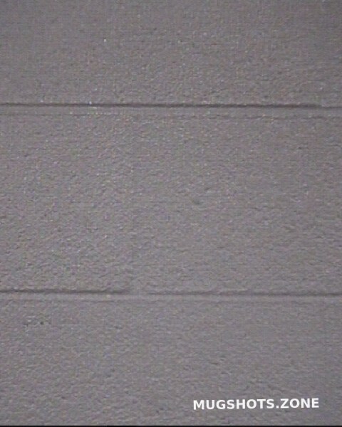 SANDY JUSTIN MICHAEL 05/22/2022 - Buncombe County Mugshots Zone