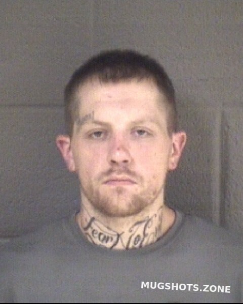 STULTZ RANDALL JAMES 06/10/2022 - Buncombe County Mugshots Zone