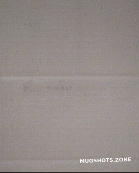 BAYLESS CHRISTINA LEE 11/07/2022 - Buncombe County Mugshots Zone