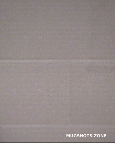 PARKER STEPHANIE RENEE 11/20/2022 - Buncombe County Mugshots Zone