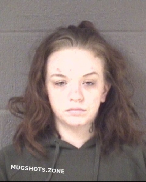 BENNETT SARAH ELIZABETH 06/05/2023 - Buncombe County Mugshots Zone