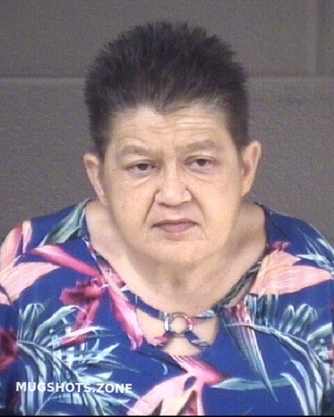 HALL MECHELLE DIANNE 11/01/2023 - Buncombe County Mugshots Zone