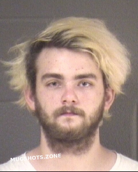 FORBES BRAYDEN ANDREW 11/15/2024 - Buncombe County Mugshots Zone
