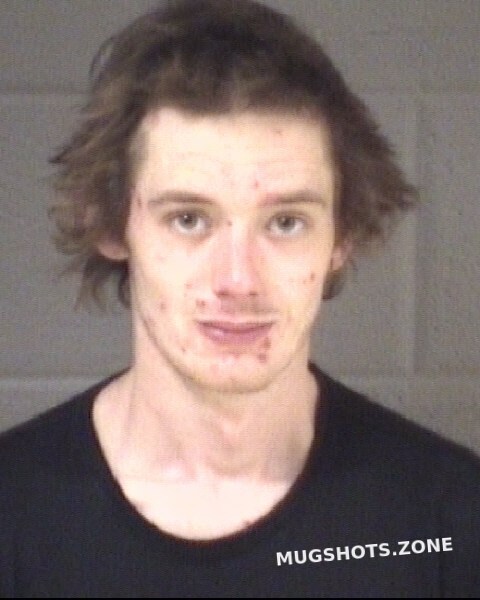 MCDOWELL JOSHUA STORM 02/27/2025 - Buncombe County Mugshots Zone
