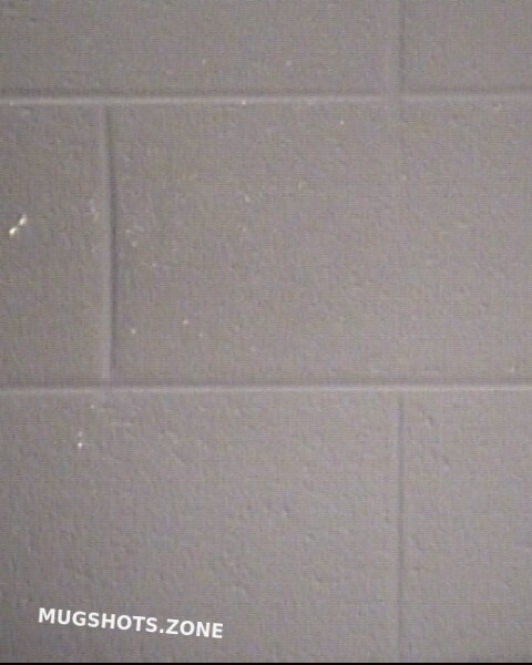 CHAPMAN SHARI MANDEL 12/05/2025 - Buncombe County Mugshots Zone