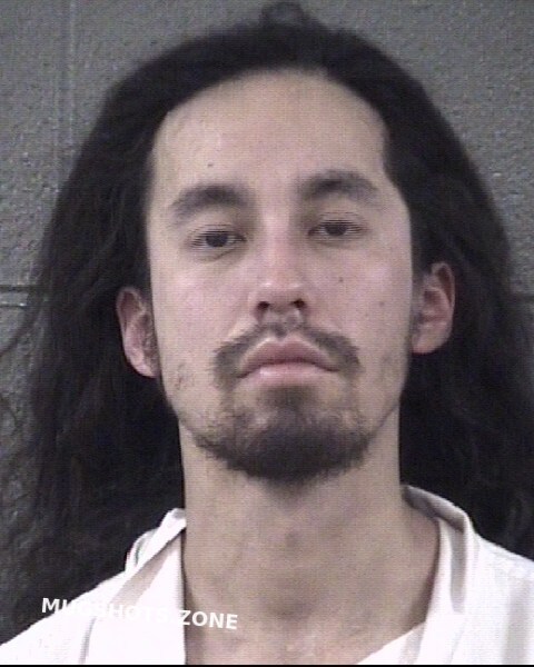 ZELLEY DAICHI SEAN 01/29/2026 - Buncombe County Mugshots Zone