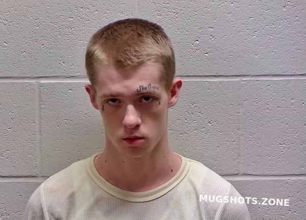 FULLER ETHAN ARTHUR 02/10/2024 - Bureaus County Mugshots Zone