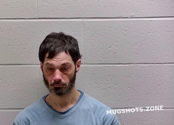 WILLIAMS ZACHARIAH 02/02/2025 - Bureaus County Mugshots Zone