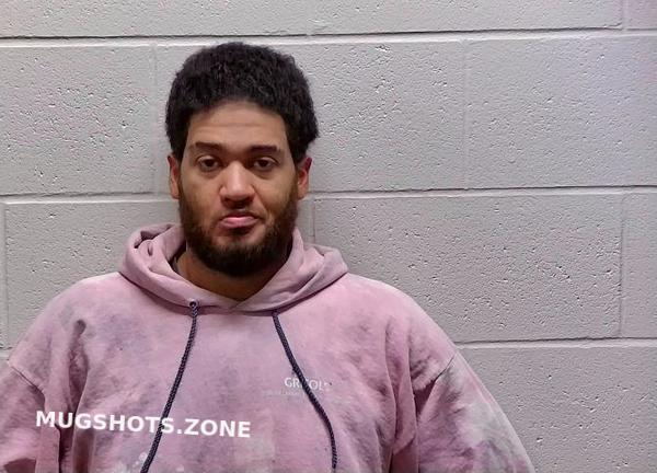 CODE KEVIN LEE 04/25/2025 - Bureaus County Mugshots Zone