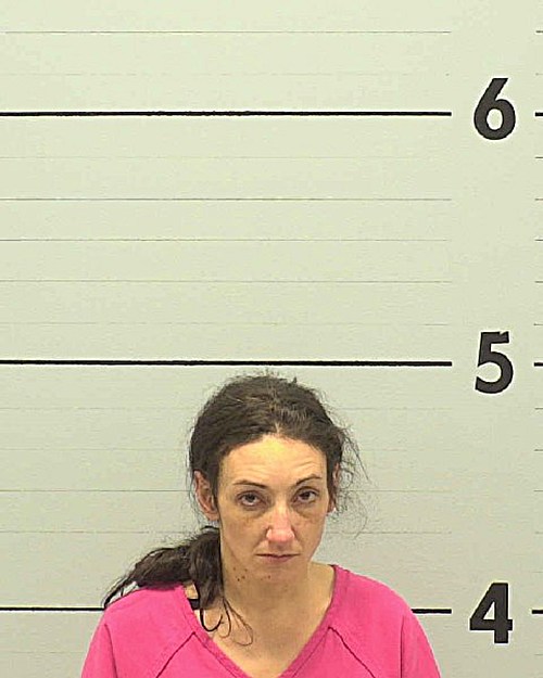 CARTER STEPHANIE RENEA 02/10/2021 - Burke County Mugshots Zone