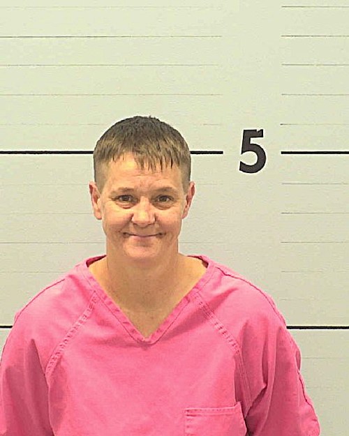 WISEMAN APRIL ANNETTE 03/15/2021 - Burke County Mugshots Zone