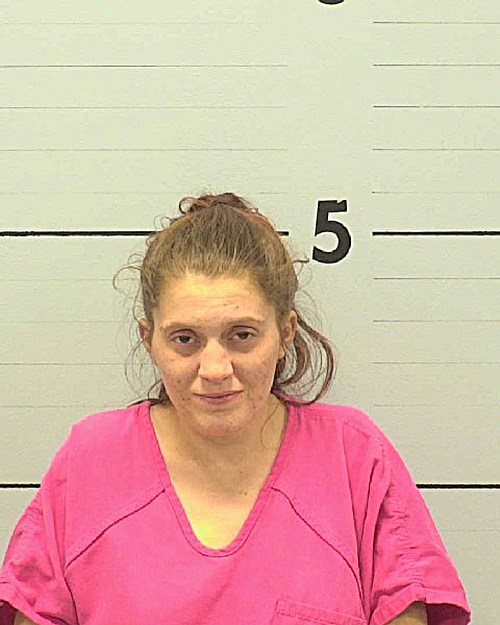 LEDFORD CAITLYN RAYNA 03/20/2021 - Burke County Mugshots Zone