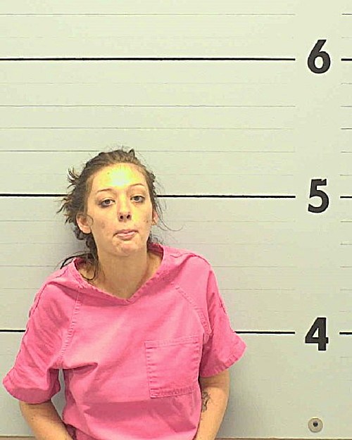 BROWN RAELYN SHAE 03/26/2021 - Burke County Mugshots Zone