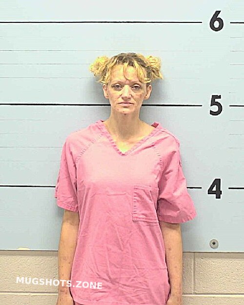 COOK HEATHER MARIE 06/11/2022 - Burke County Mugshots Zone