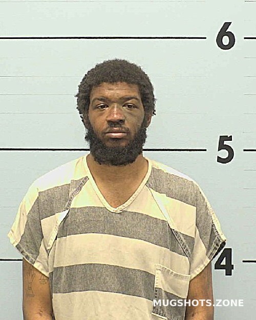 CONNELLY DARIUS EDWARD 03/25/2023 - Burke County Mugshots Zone
