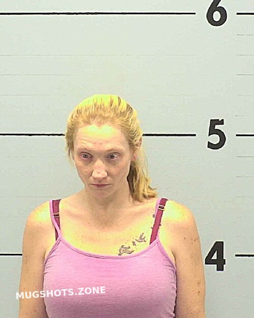 STARNES JAMIE ANNE 08/04/2023 - Burke County Mugshots Zone