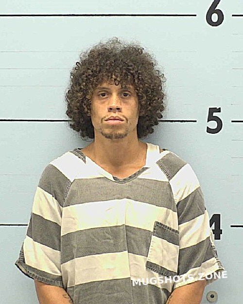 WELLS ALLAN ROBERT 10/02/2023 - Burke County Mugshots Zone