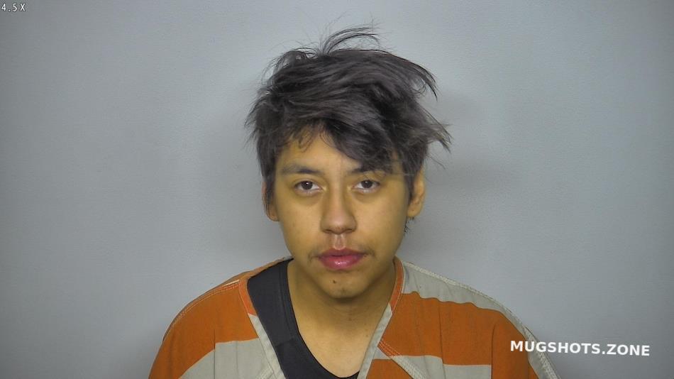 WELLS TYREE MARIE 01/01/2022 - Burleigh County Mugshots Zone