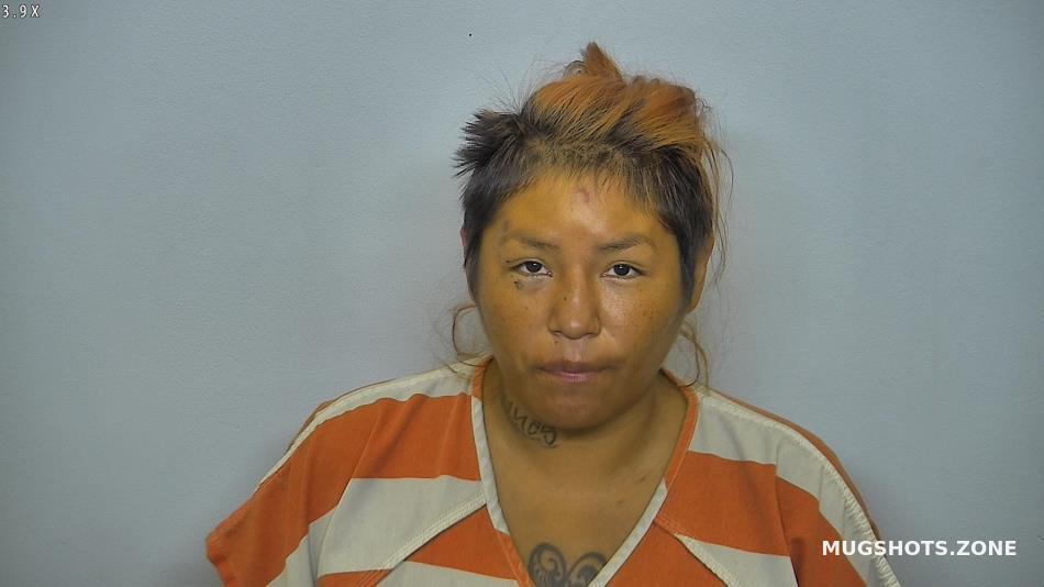 MORRIS ROBERTA TANA 08/03/2022 - Burleigh County Mugshots Zone