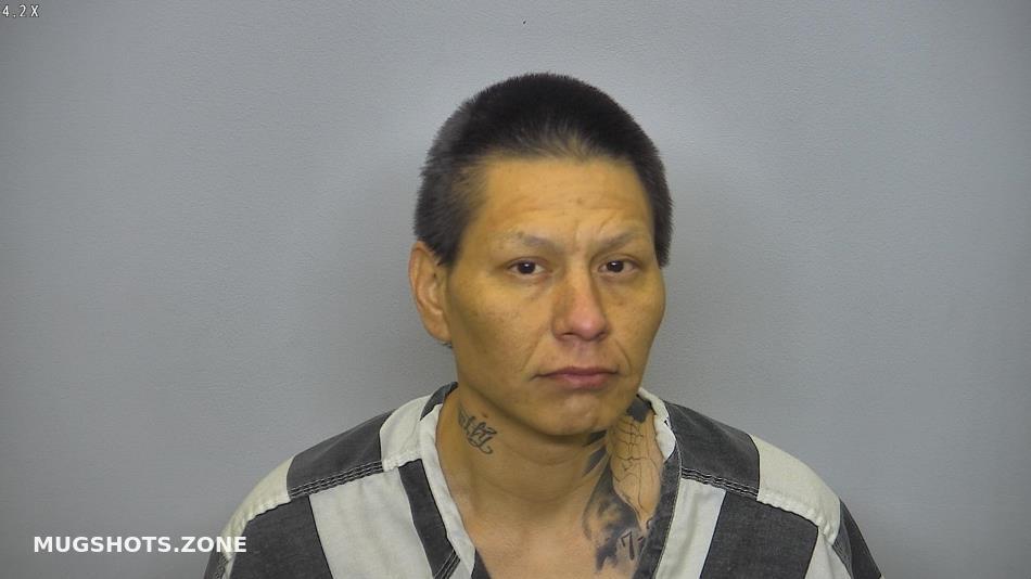 SEEWALKER BRYAN JAMES 01/12/2023 - Burleigh County Mugshots Zone