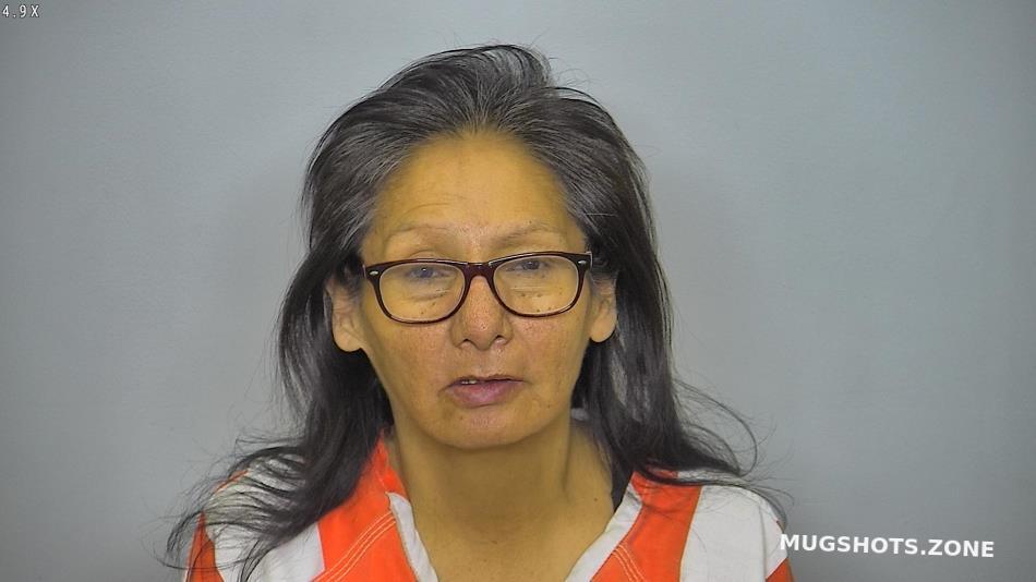 IRELAND LISA MAE 02/27/2023 - Burleigh County Mugshots Zone