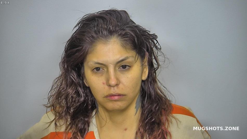 PAPASODORA TARA BETH 02/27/2023 - Burleigh County Mugshots Zone