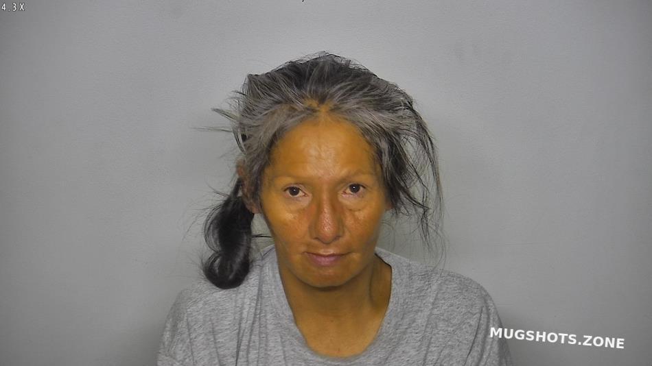 IRELAND LISA MAE 06/22/2023 - Burleigh County Mugshots Zone