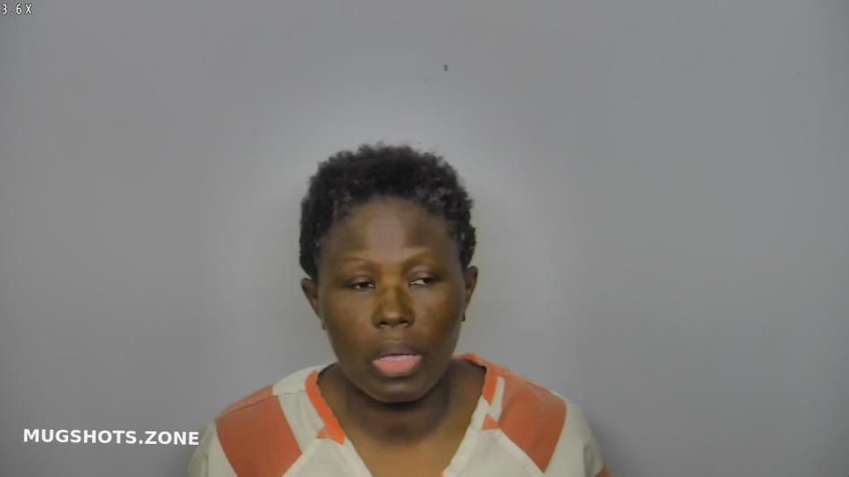 NOMENYO AMA DELPHINE 04/22/2024 - Burleigh County Mugshots Zone