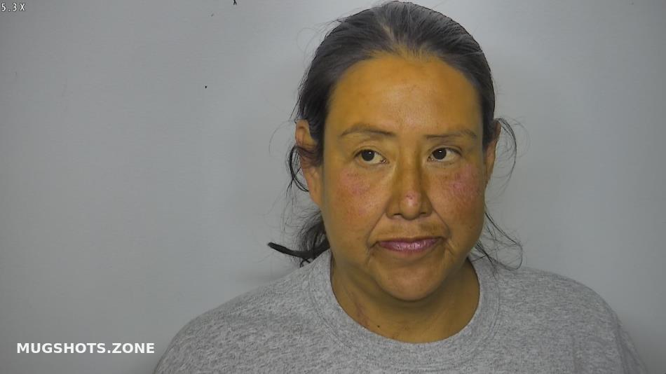 VILLARREAL MERINDA ROSE 04/27/2024 - Burleigh County Mugshots Zone