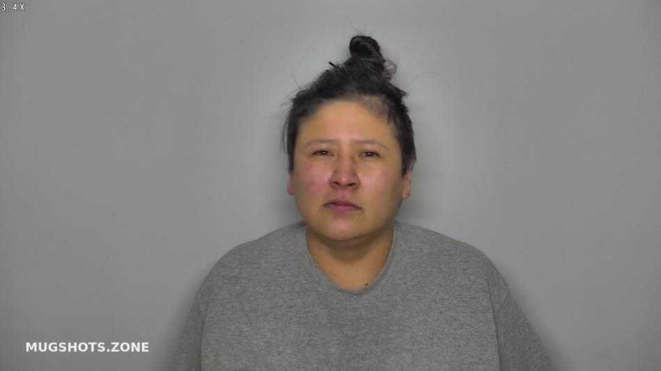 ROSS LEANN RENAE 11/12/2024 - Burleigh County Mugshots Zone