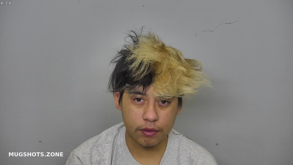 WELLS TYREE MARIE 01/14/2025 - Burleigh County Mugshots Zone