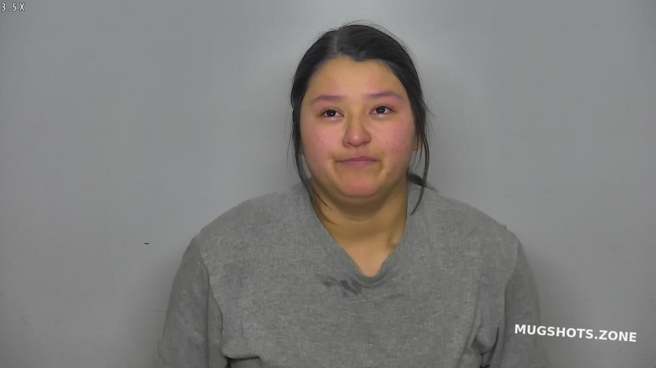 HENRY YUKONNA GAYLE 03/23/2025 - Burleigh County Mugshots Zone