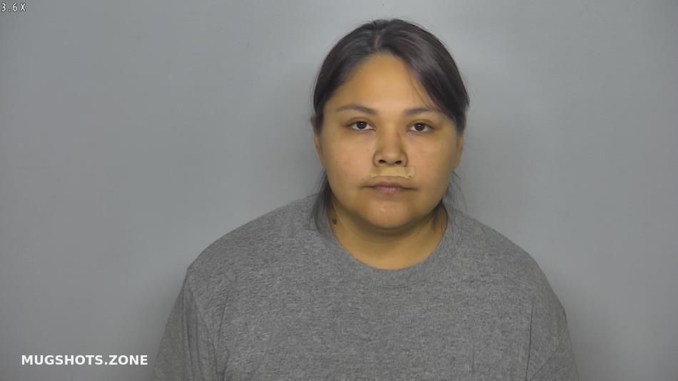 WHITEOWL DEBORAH NICOLE 04/21/2025 - Burleigh County Mugshots Zone