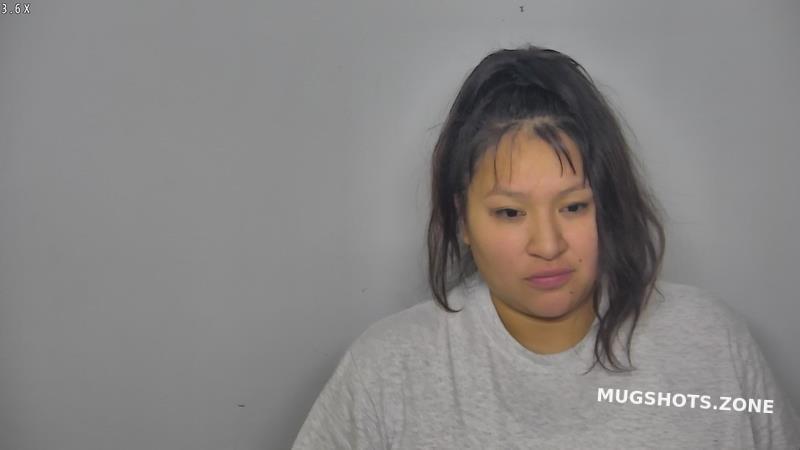 ONEFEATHER SHANTELL LEE 08/22/2025 - Burleigh County Mugshots Zone
