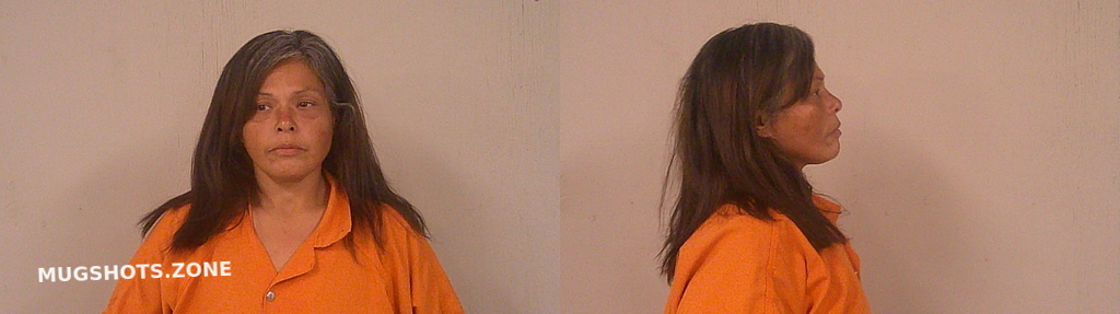 LERMA ALICE MARIE 04/24/2023 - Burnet County Mugshots Zone